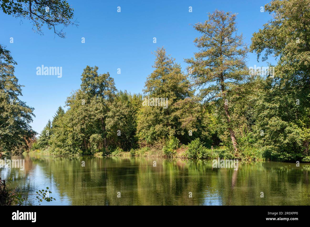 Flooded anti-tank ditch as part of the former Wetswall, also known as ...