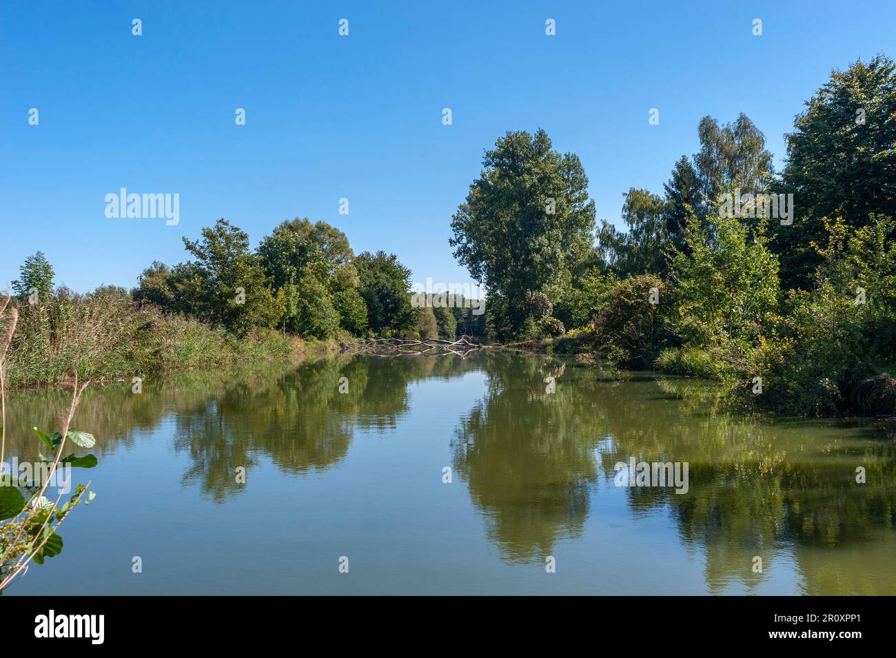 Flooded anti-tank ditch as part of the former Wetswall, also known as ...