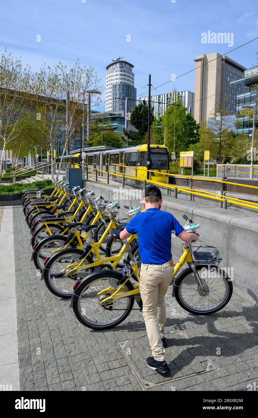 Beryl hi-res stock photography and images - Alamy