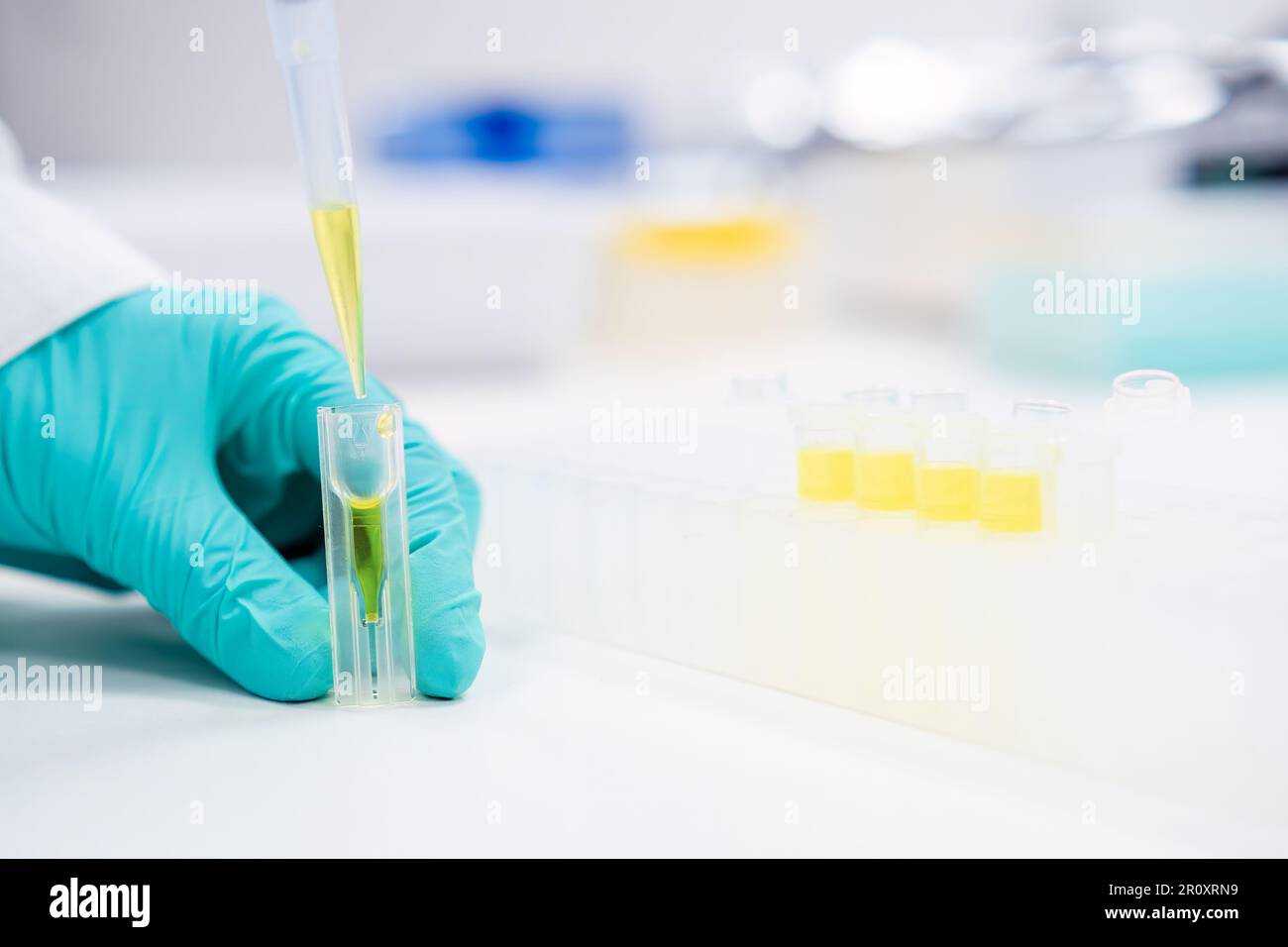Filling the microcuvette with yellow solution by automatic pipette in ...
