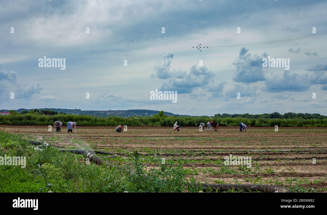 Man plane field hi-res stock photography and images - Alamy