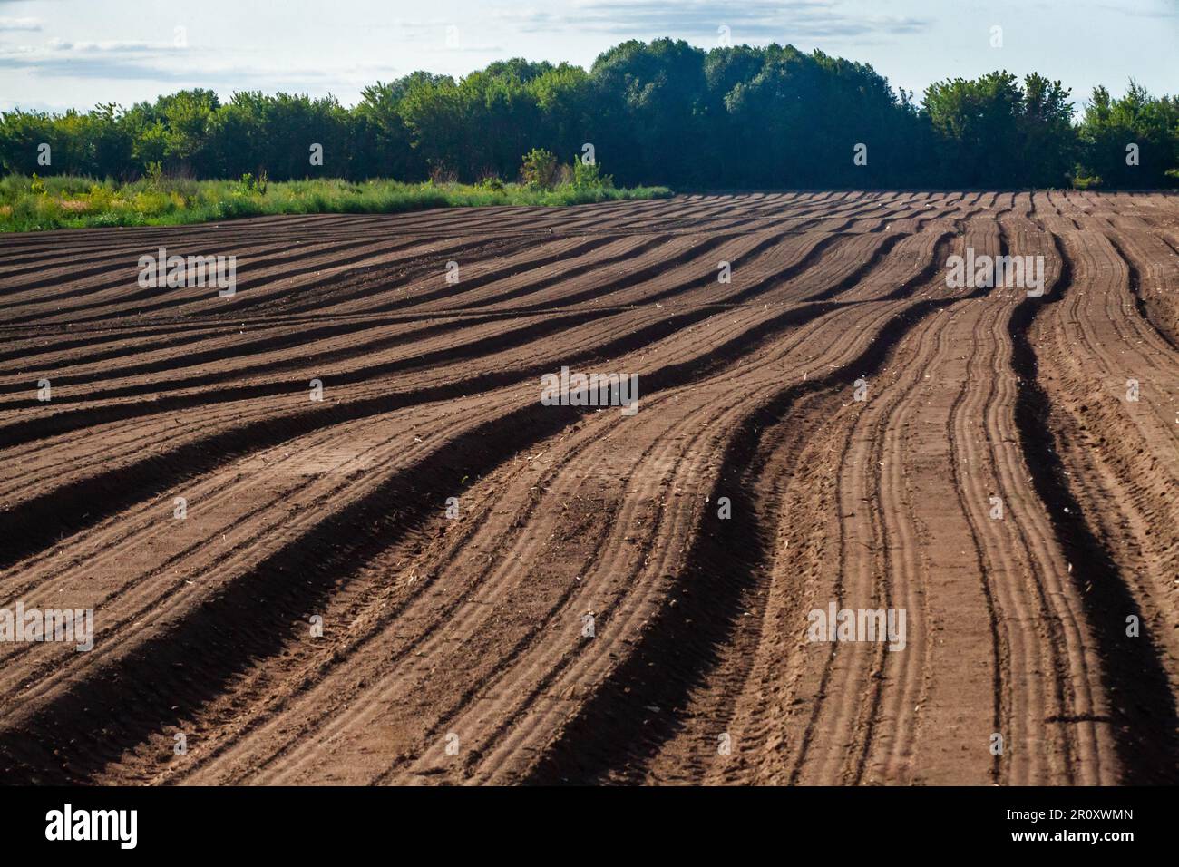 Brown ground of plowing field Stock Photo - Alamy