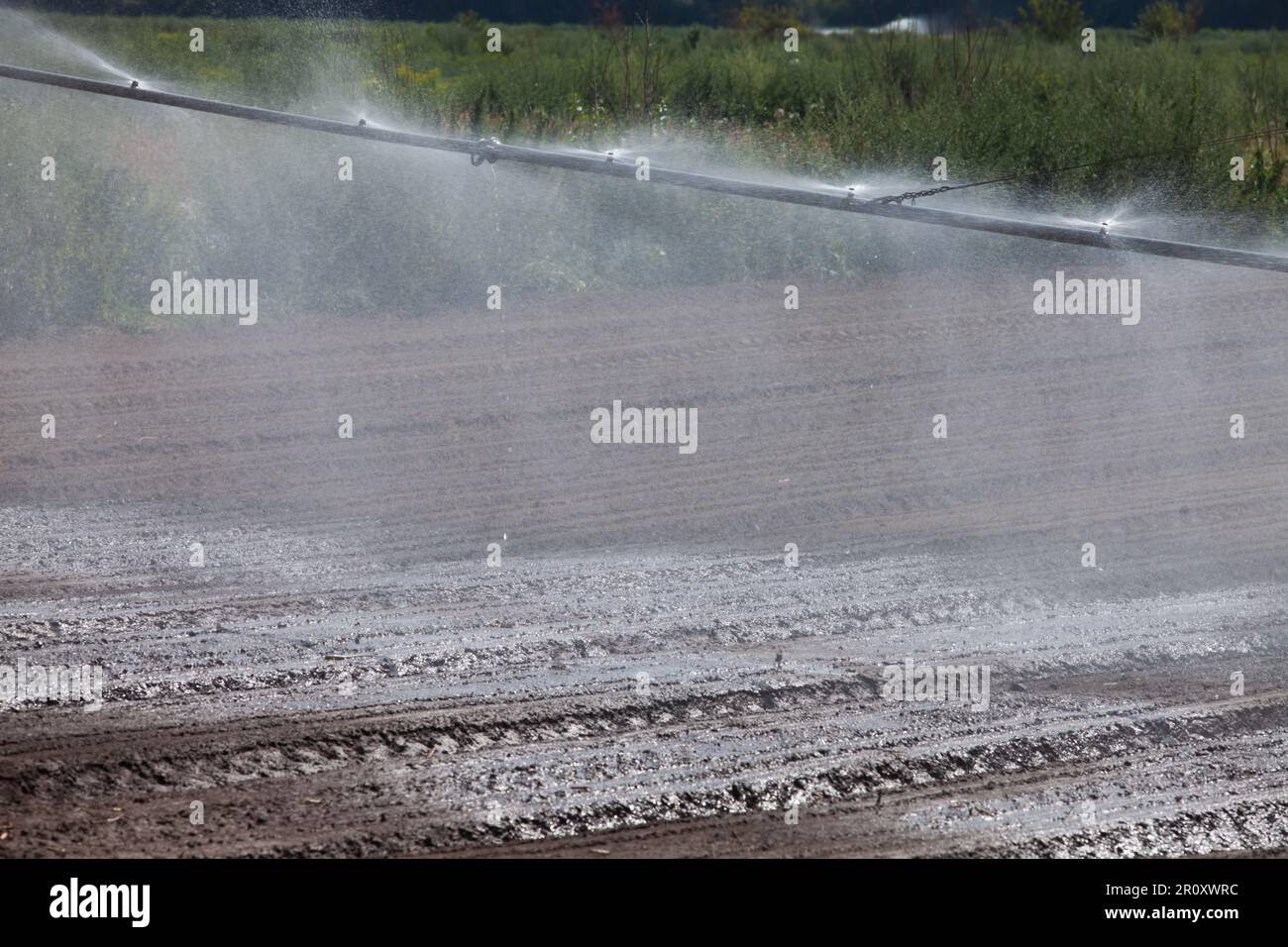 Irrigation of agricultural fields by modern sprayer system. Closeup ...
