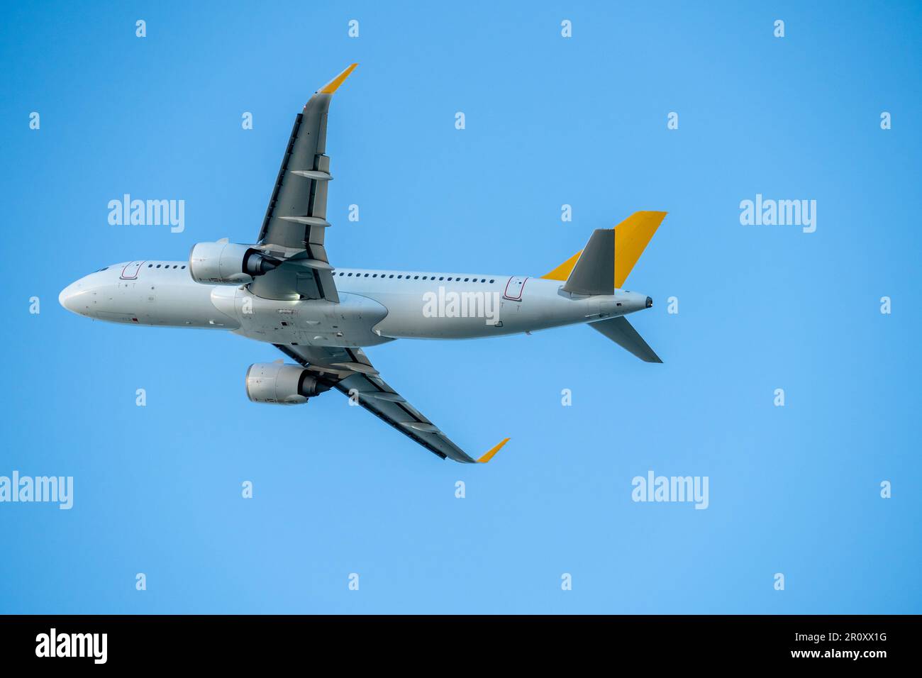 Bottom wing hi-res stock photography and images - Alamy