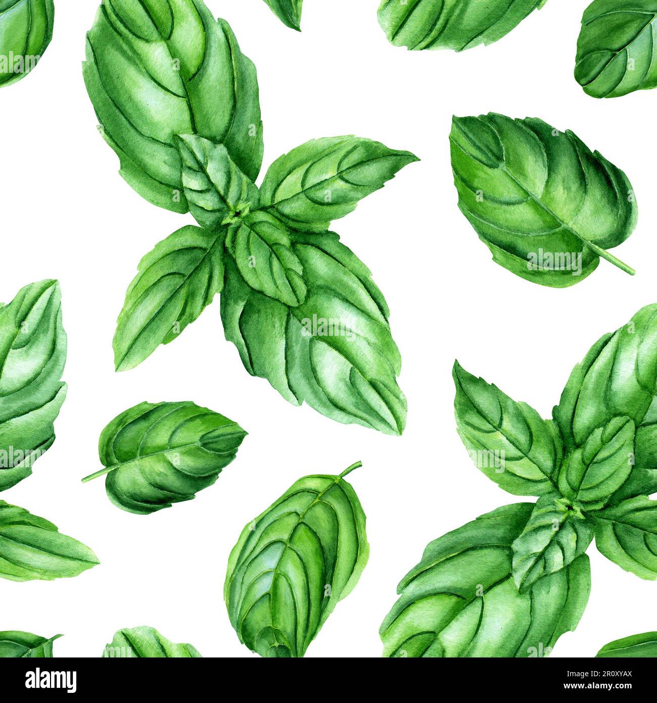 Watercolor seamless pattern with basil herb. Botanical illustration ...