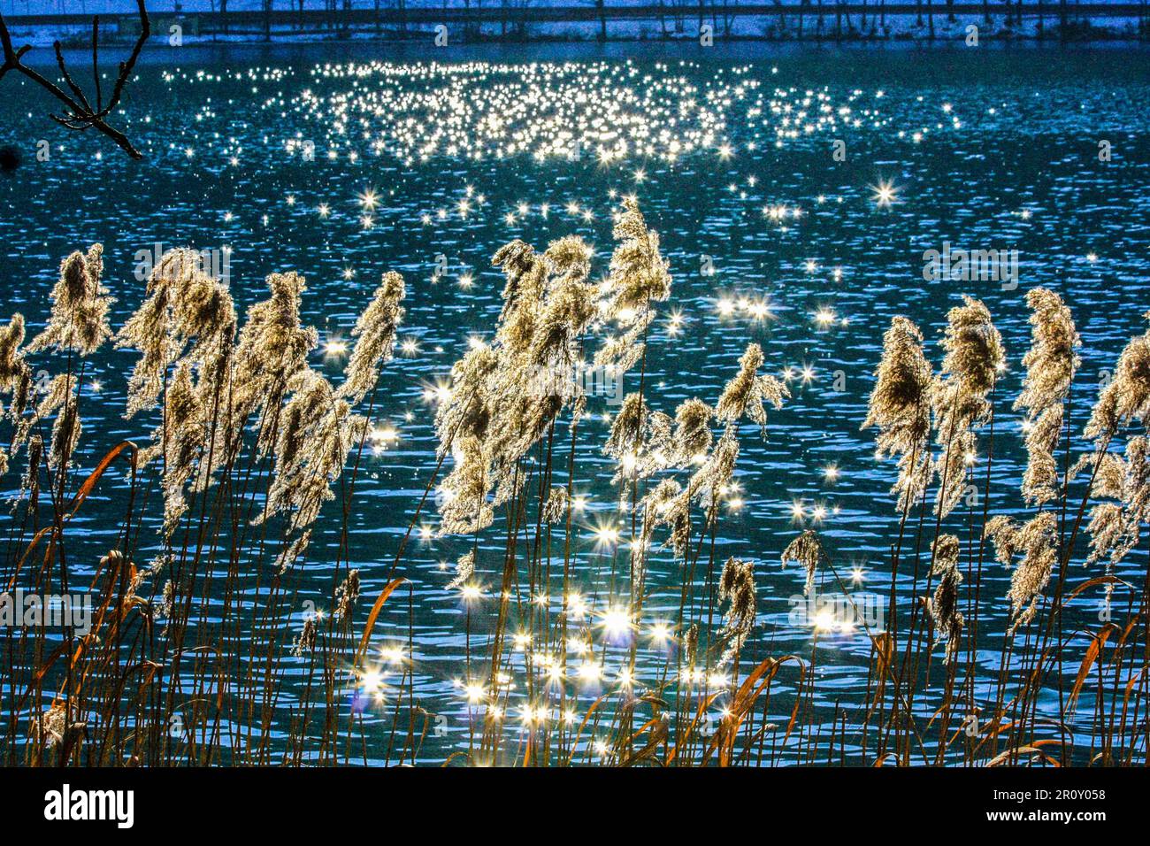 Scintillating hi-res stock photography and images - Alamy