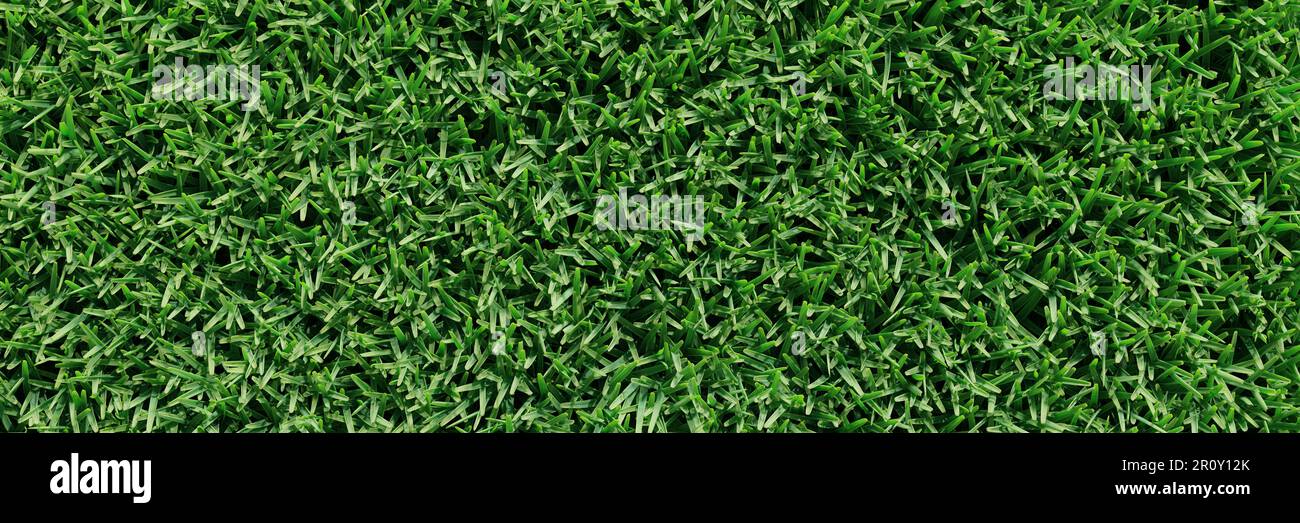 Green lawn, grass meadow sward turf. Top view 3d rendering Stock Photo ...
