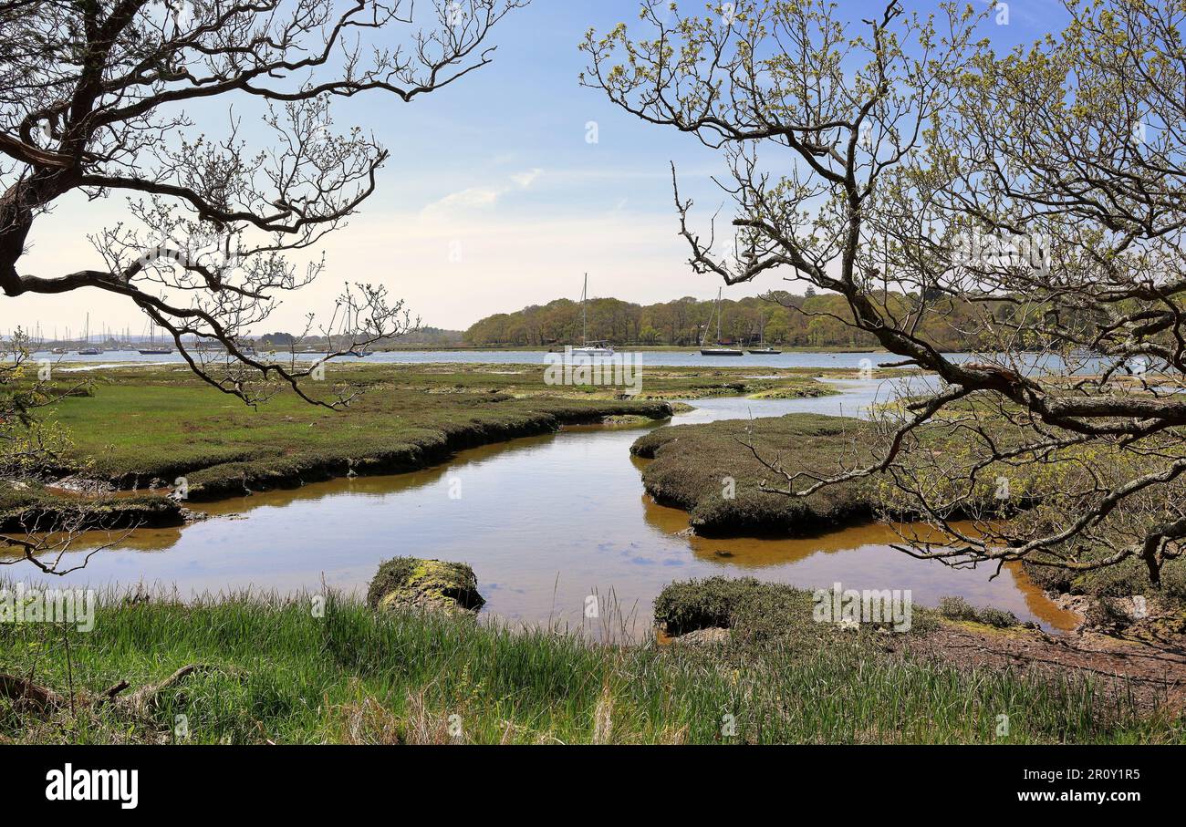 Beaulieu River in Hampshire looking towards Bucklers Hard with anchored ...
