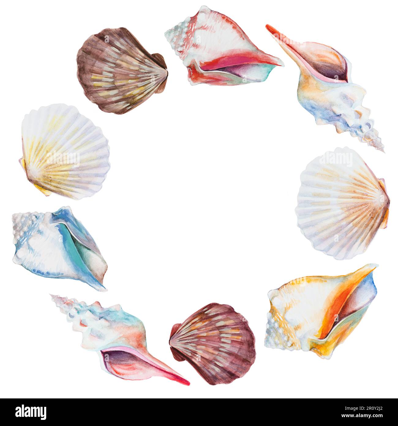 Hand drawn illustrations round frame of seashells. Shells set, beach ...