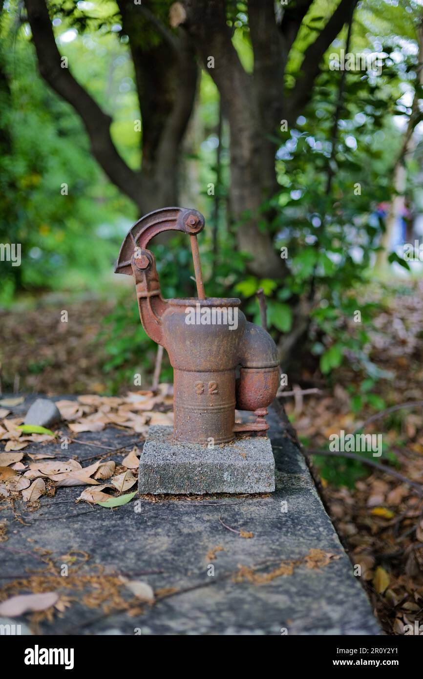 A vertical shot of an antique hand water pump in the forest Stock Photo ...