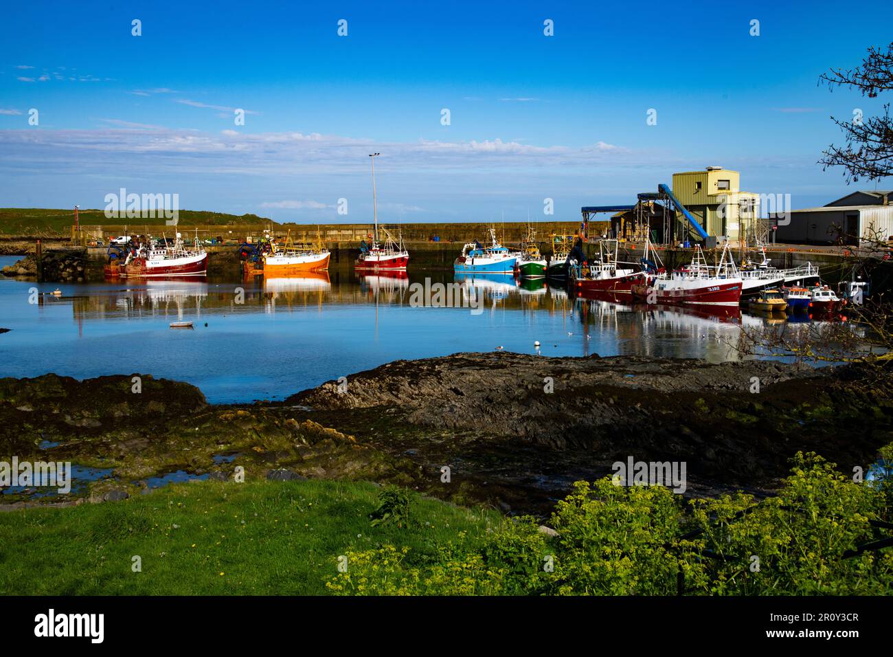 the harbour at Ardglass, County Down Northern Ireland Stock Photo - Alamy