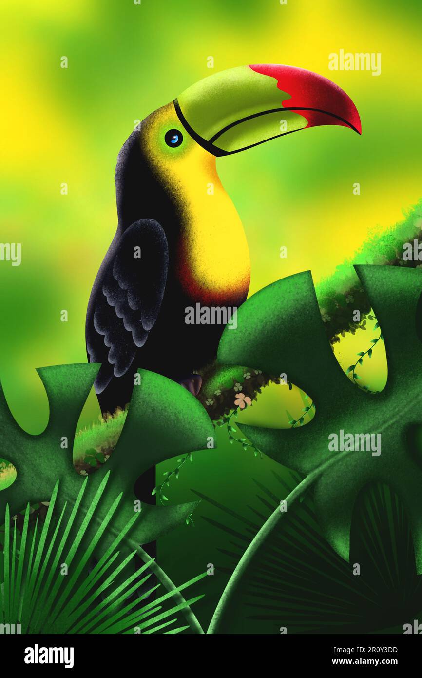 Tropical bird in the jungle Stock Photo - Alamy