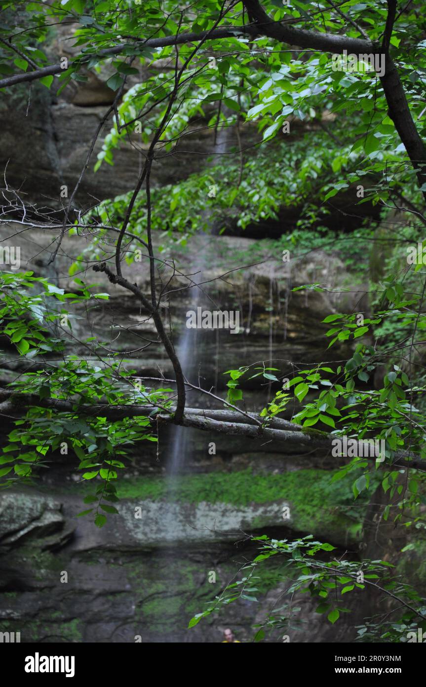 Beautiful waterfall in the distance behind tree leaves Stock Photo - Alamy