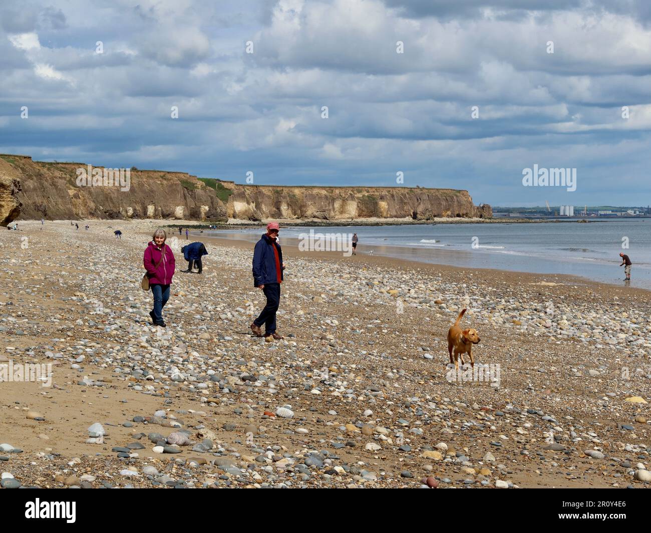 Seaham North Beach, Durham, UK - 10 May 2023 : Bright spring afternoon ...