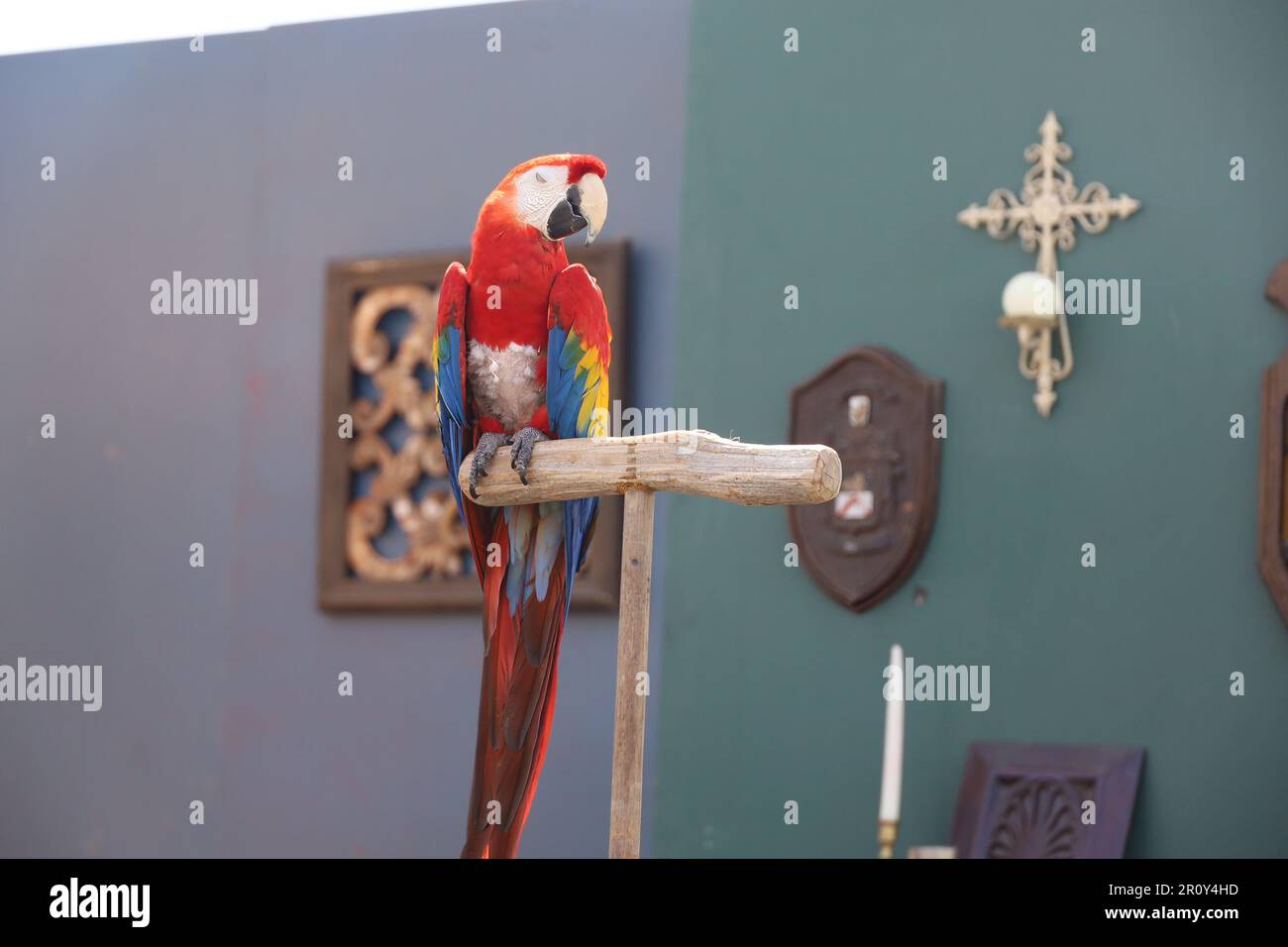 4-15-2023: Visalia, California: People in period costumes doing a ...