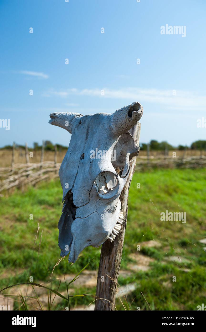 Oland sweden eketorp hi-res stock photography and images - Alamy