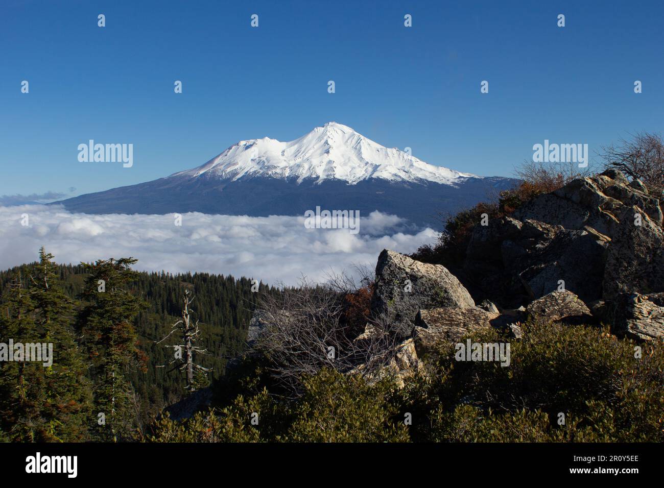 Mt shasta camping hi-res stock photography and images - Alamy