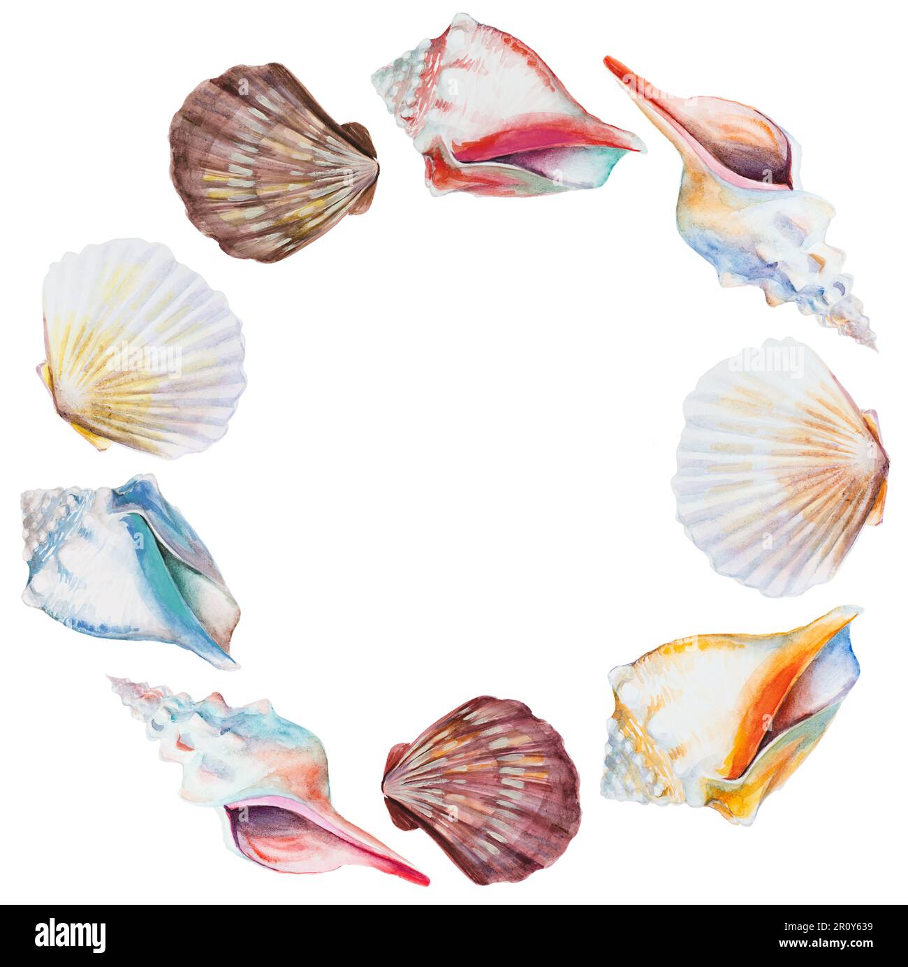 Hand drawn illustrations round frame of seashells. Shells set, beach ...