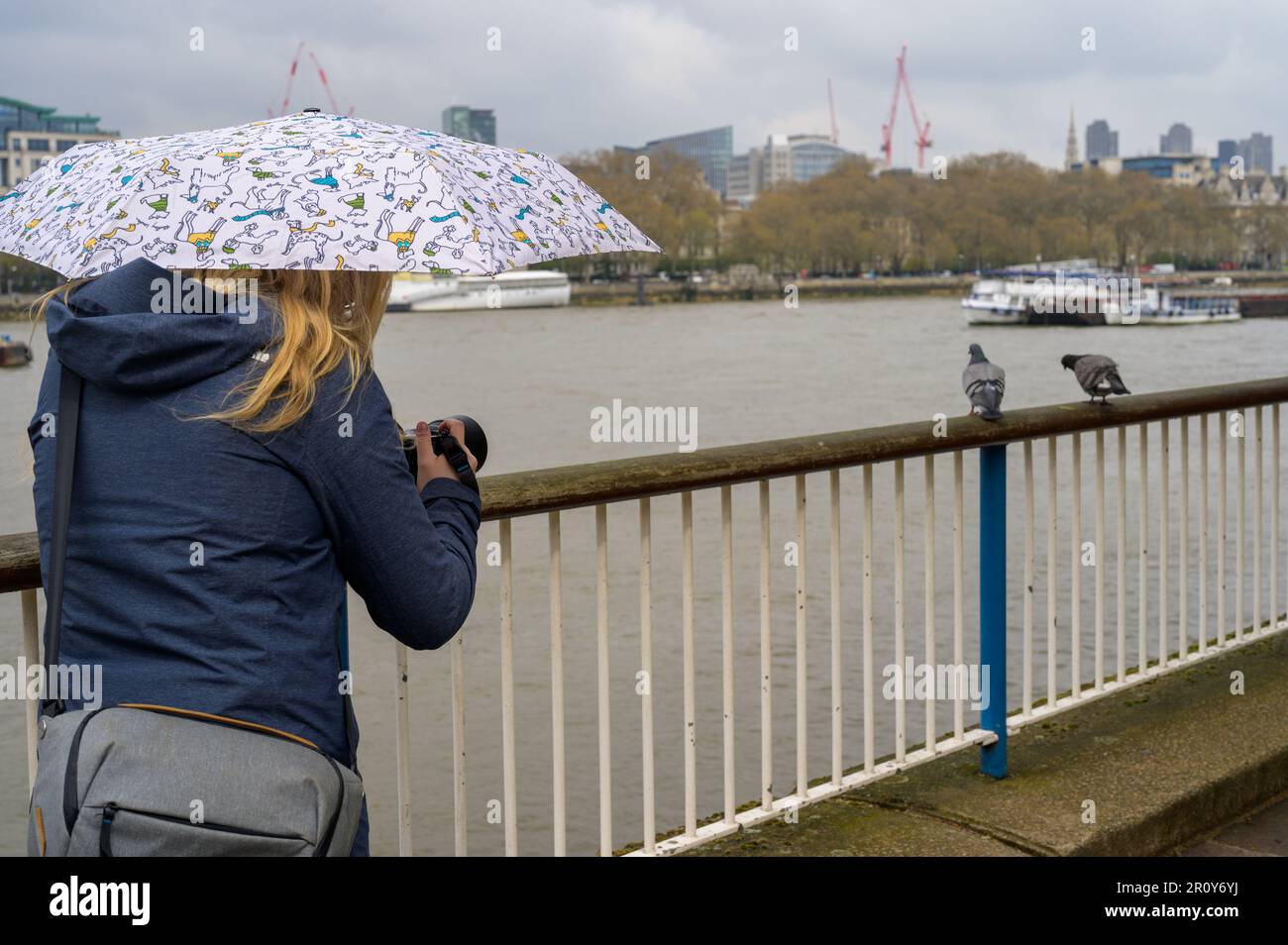 LONDON - April 21, 2023: Female photographer with umbrella captures ...