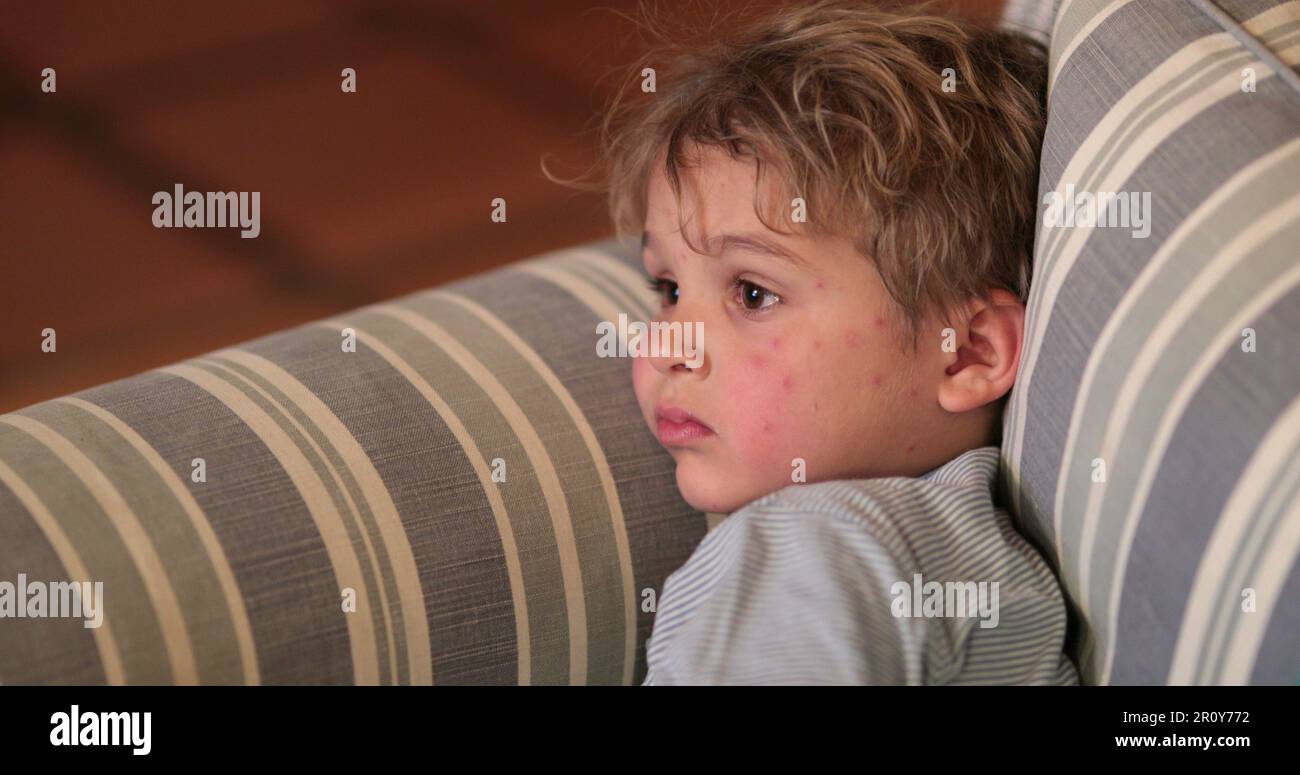 Candid little boy child hypnotized by TV screen at night on sofa Stock ...