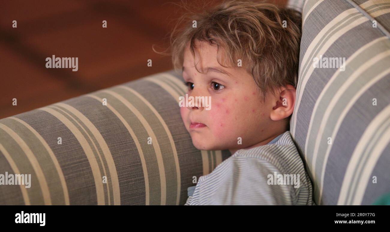 Candid little boy child hypnotized by TV screen at night on sofa Stock ...