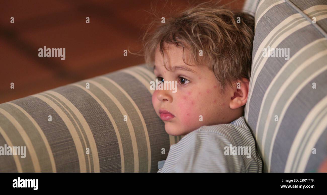 Candid little boy child hypnotized by TV screen at night on sofa Stock ...