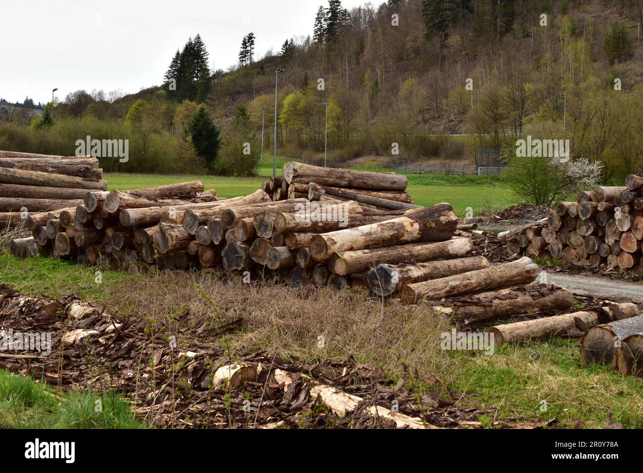 Pile of logs in a rural place Stock Photo - Alamy