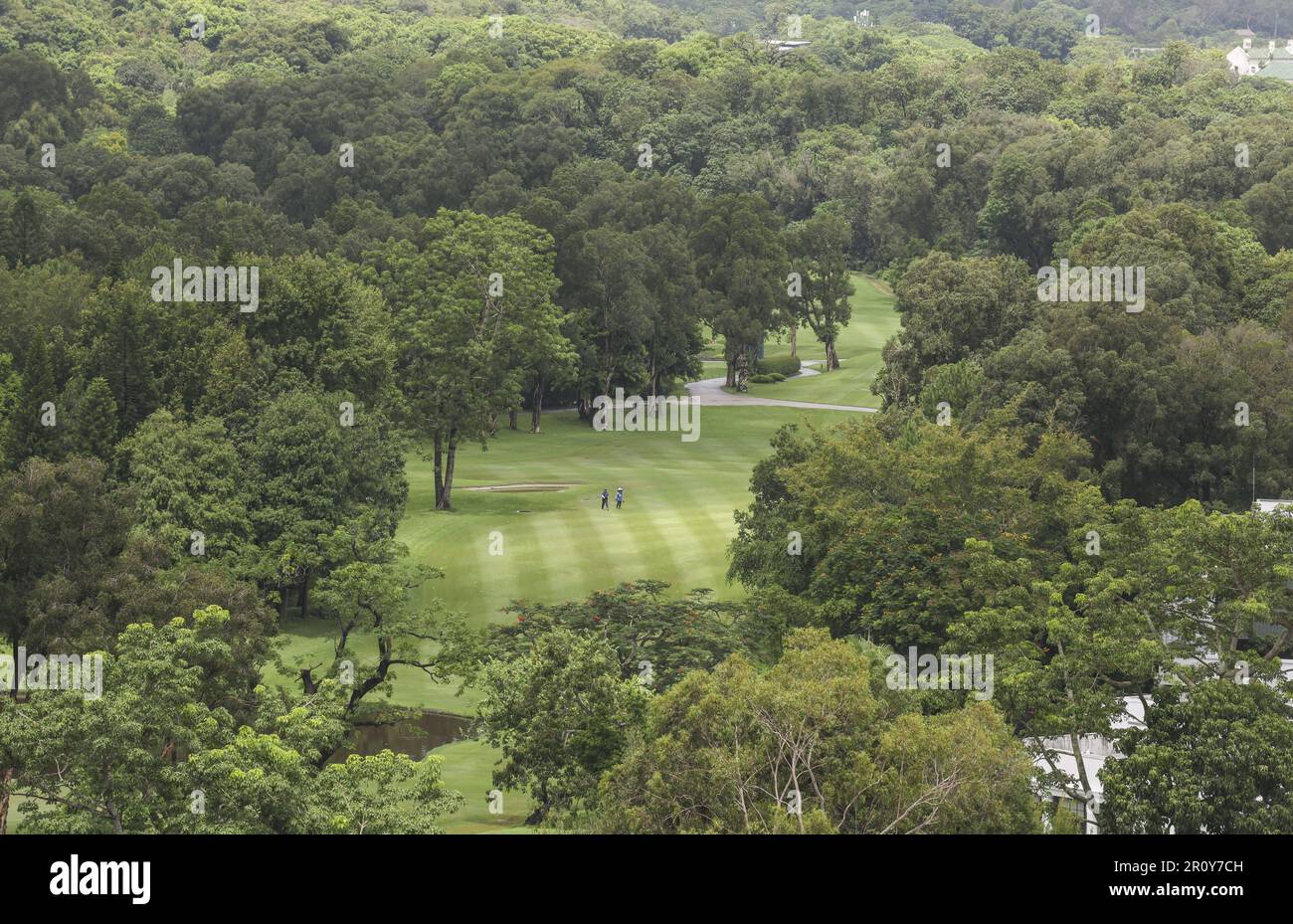 A view of Hong Kong Golf Club in Fanling. 11AUG22 SCMP/Yik Yeung-man ...