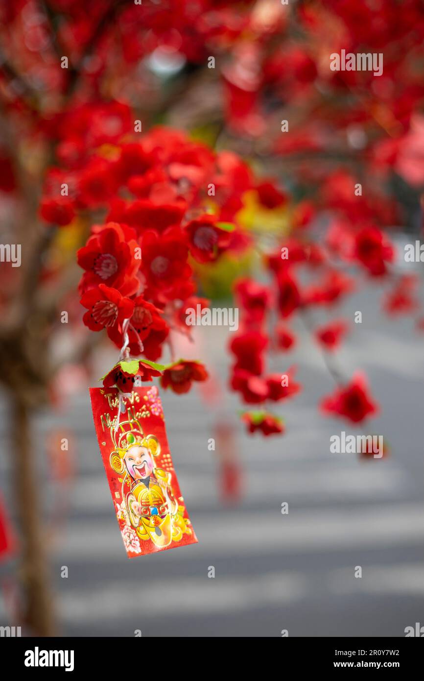 Petal sizes hi-res stock photography and images - Alamy