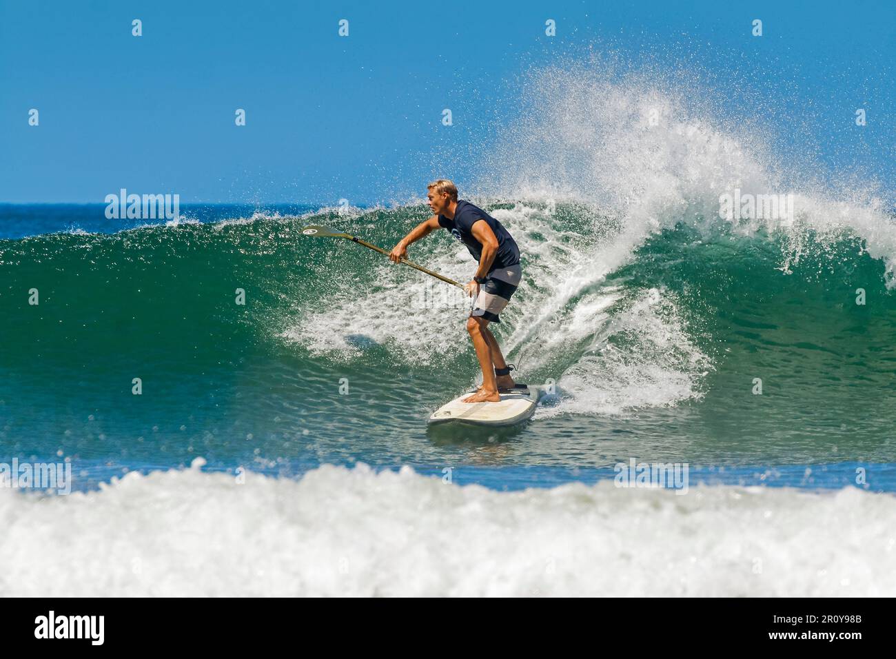 Stand up paddleboarder surfing on the face of a wave at this popular ...