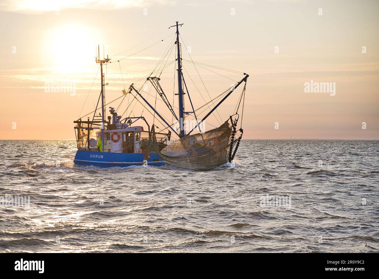 Krabbenfischer, Krabbenkutter, Schleppnetz, Trawl, Trawl net, Nordsee ...