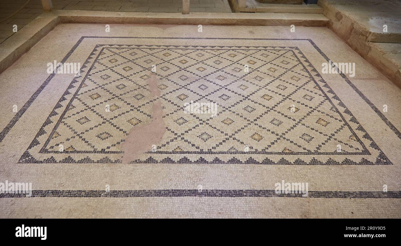 The Zeugma Mosaic Museum in Gaziantep, Turkey, Home to Some of the ...