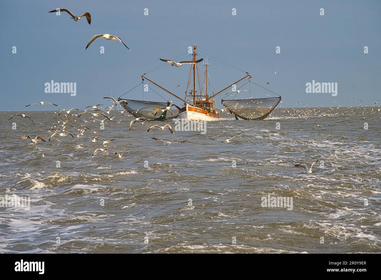 Fischfang overfishing hi-res stock photography and images - Alamy