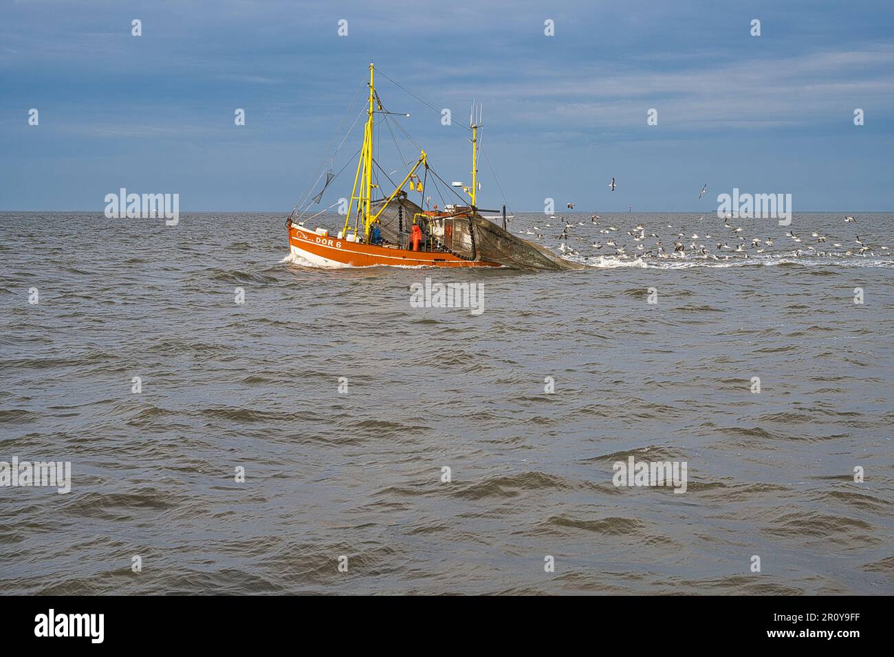 Krabbenfischer, Krabbenkutter, Schleppnetz, Trawl, Trawl net, Nordsee ...
