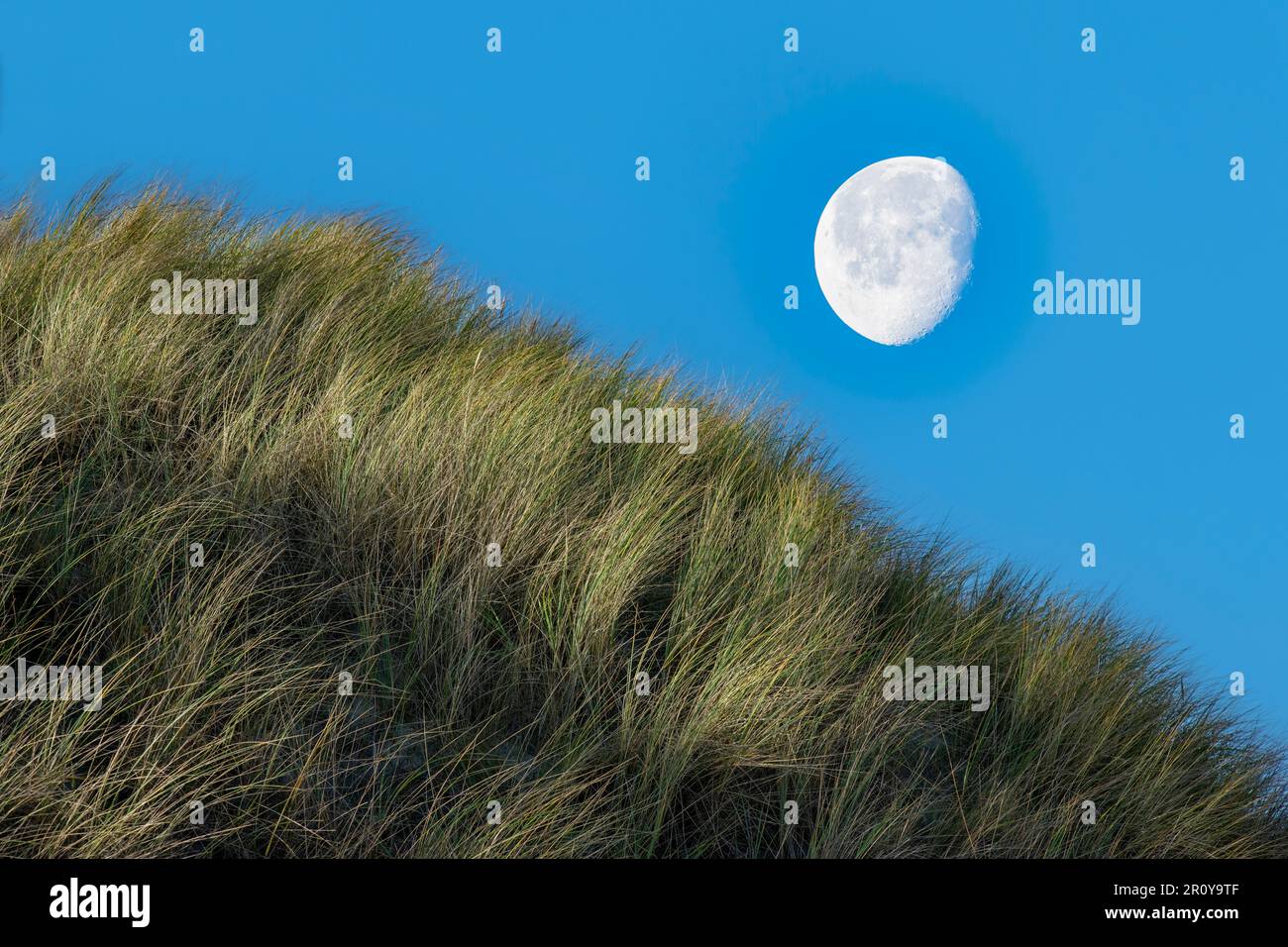 Filling the image hi-res stock photography and images - Alamy