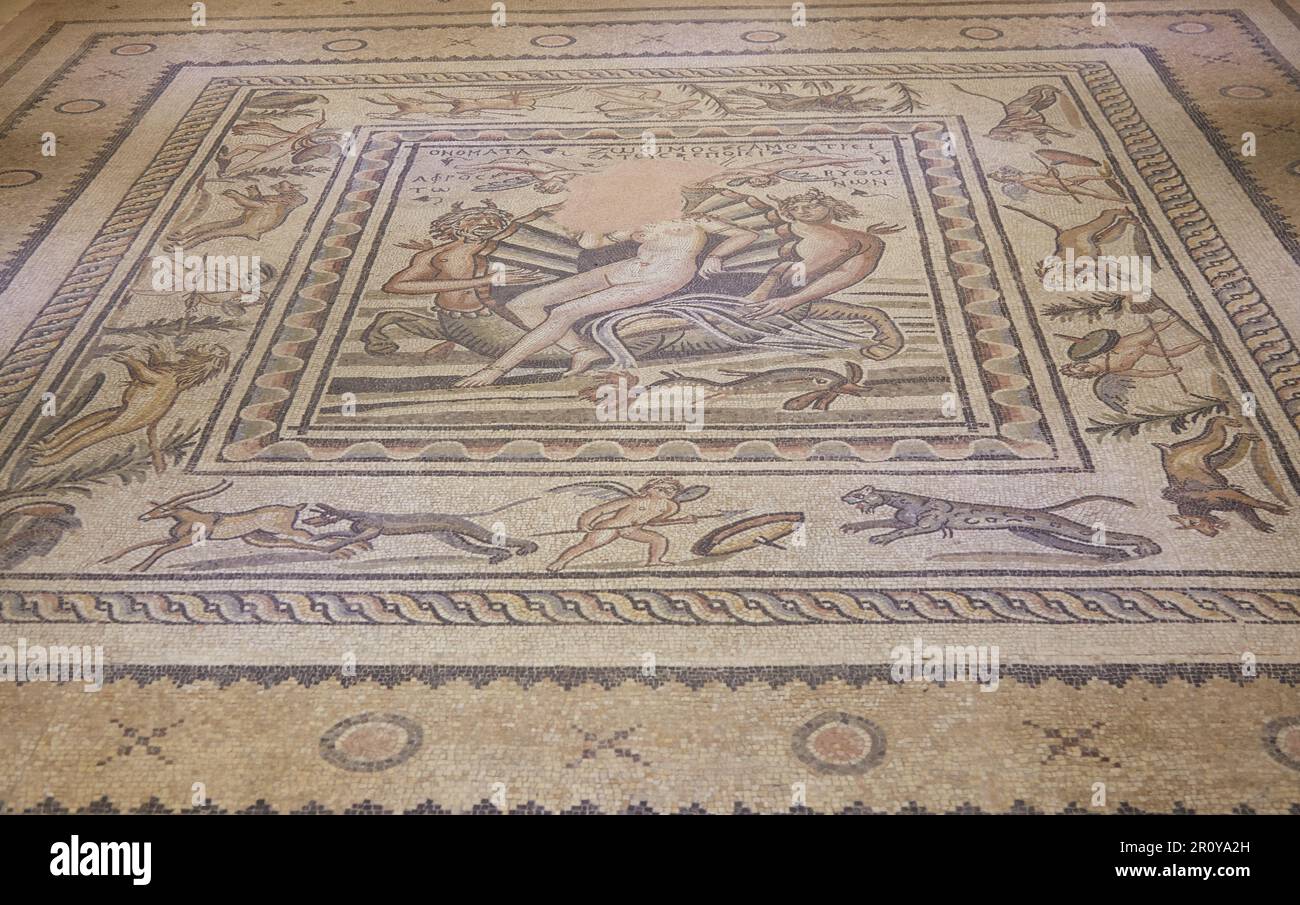 The Zeugma Mosaic Museum in Gaziantep, Turkey, Home to Some of the ...