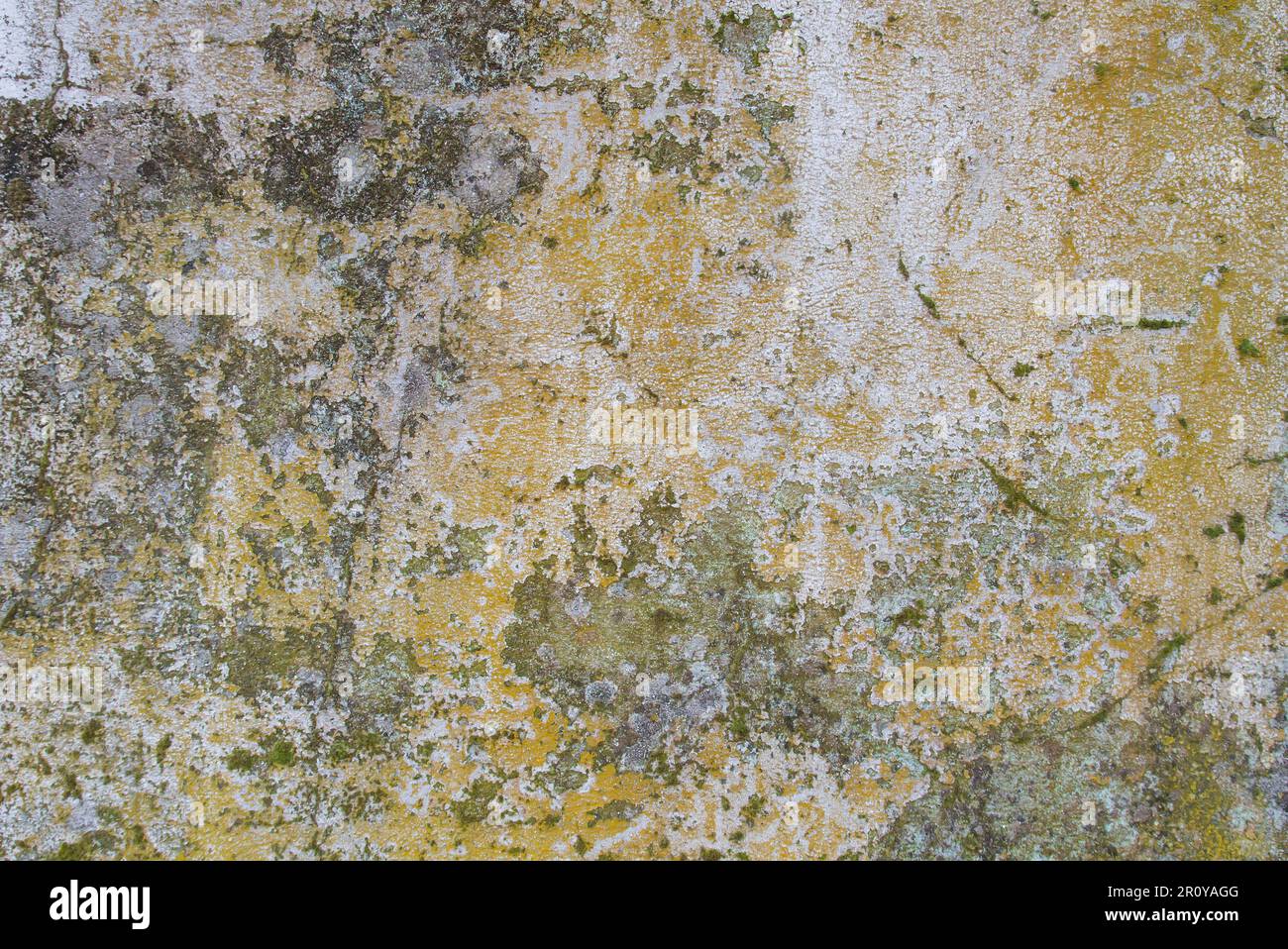 Old wall texture Stock Photo - Alamy