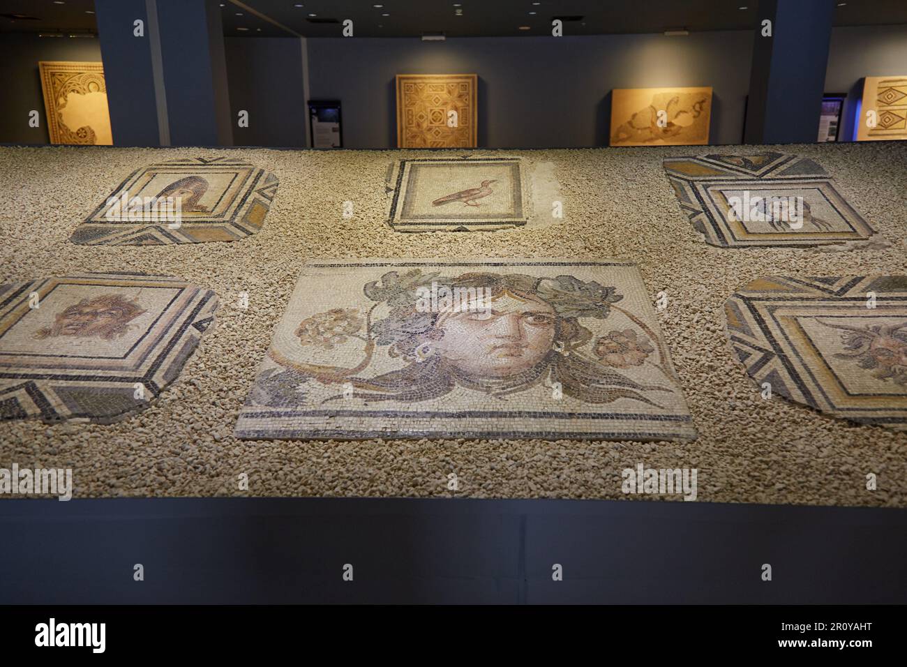 The Zeugma Mosaic Museum in Gaziantep, Turkey, Home to Some of the ...