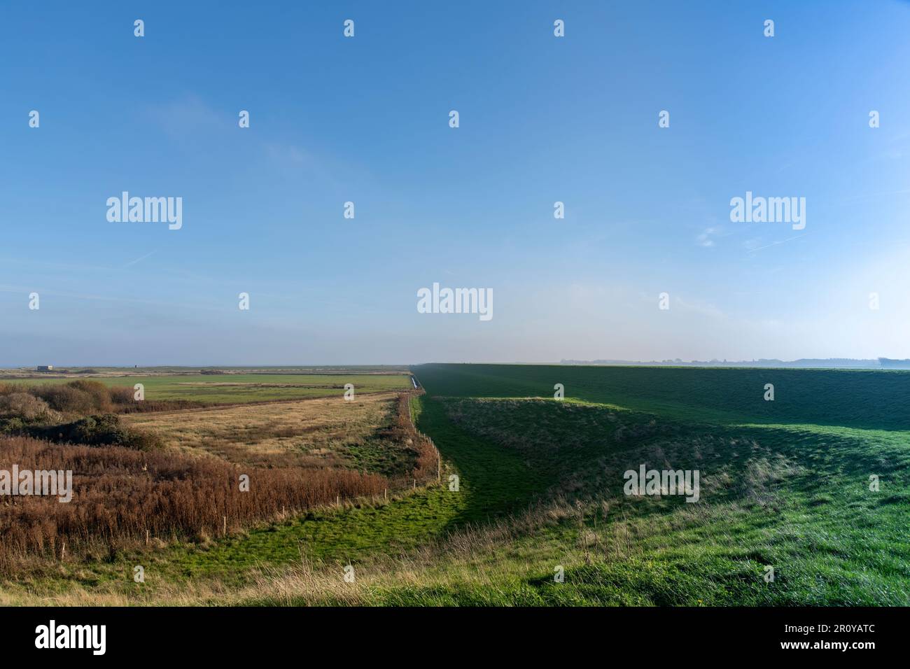 Panoramic view over agricultural landscape of island of Texel, the ...