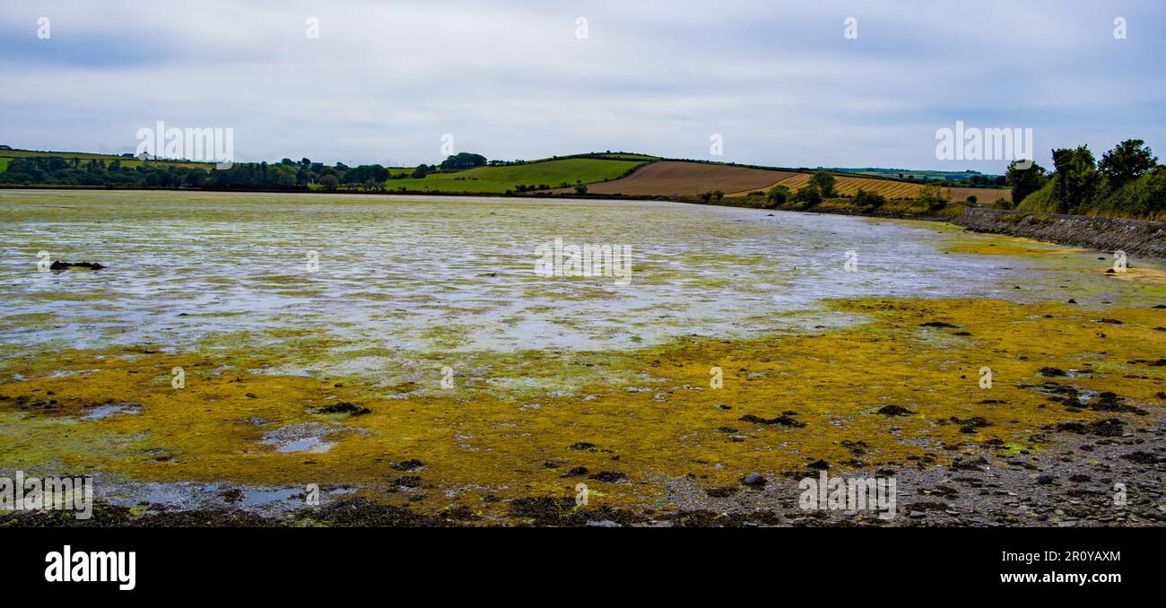 Vast tidal plains in the south of Ireland on a summer day. Irish ...