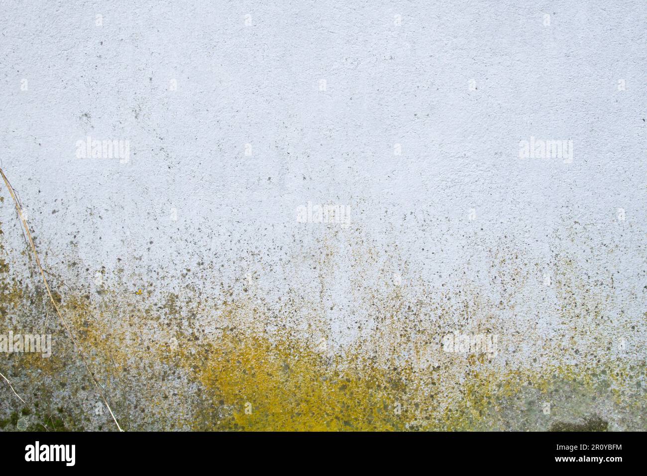 Limewash texture hi-res stock photography and images - Alamy