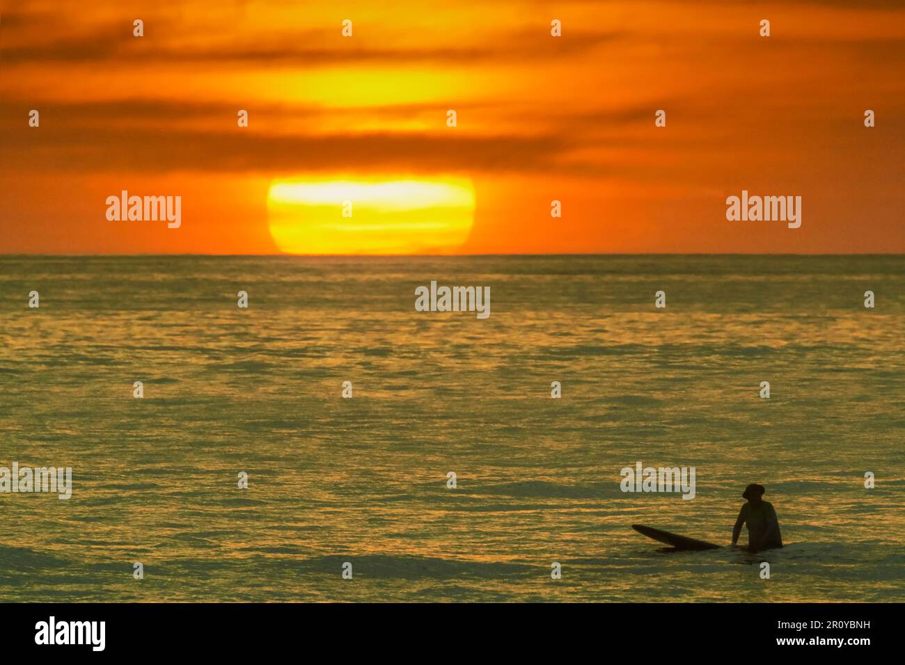 Surfer on longboard at sunset off Guiones Beach, at this popular hip ...
