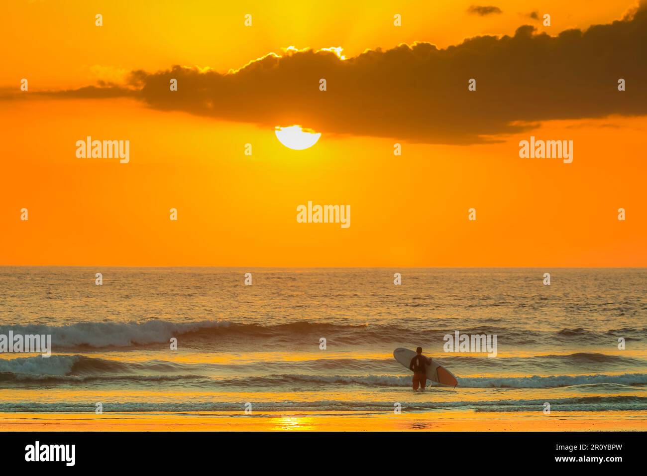 Surfer with longboard at sunset off Guiones Beach, at this popular hip ...