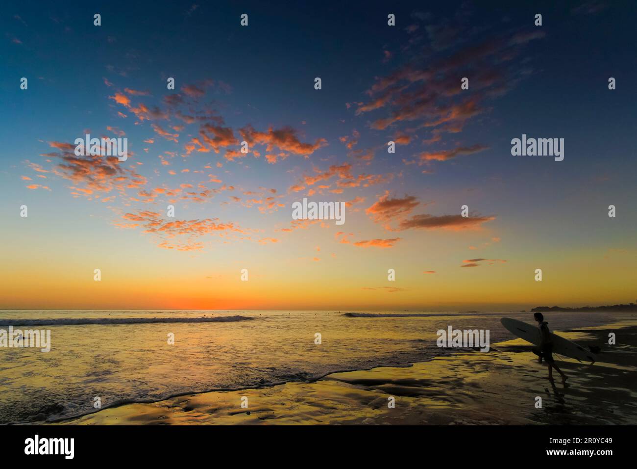 Surfer with longboard silhouetted by sunset at this hip surf beach ...