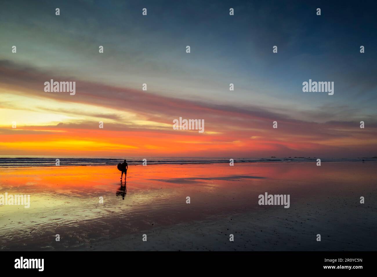Surfer & board at the popular sunset on Guiones Beach, Nosara, the hip ...