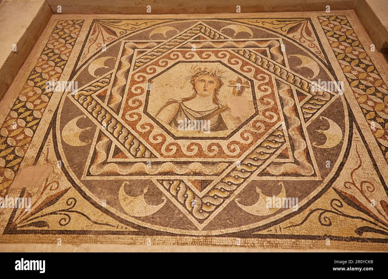 The Zeugma Mosaic Museum in Gaziantep, Turkey, Home to Some of the ...