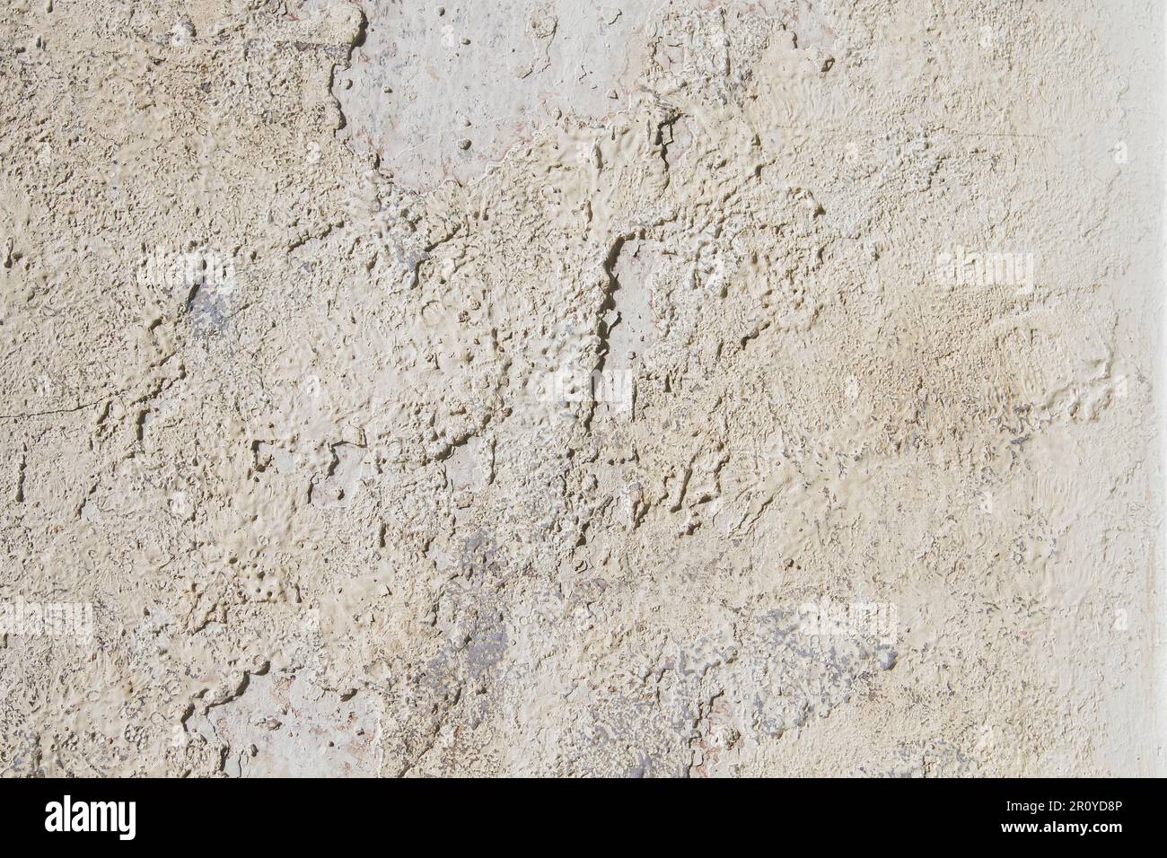 Detail of old white lime plaster wall texture Stock Photo - Alamy