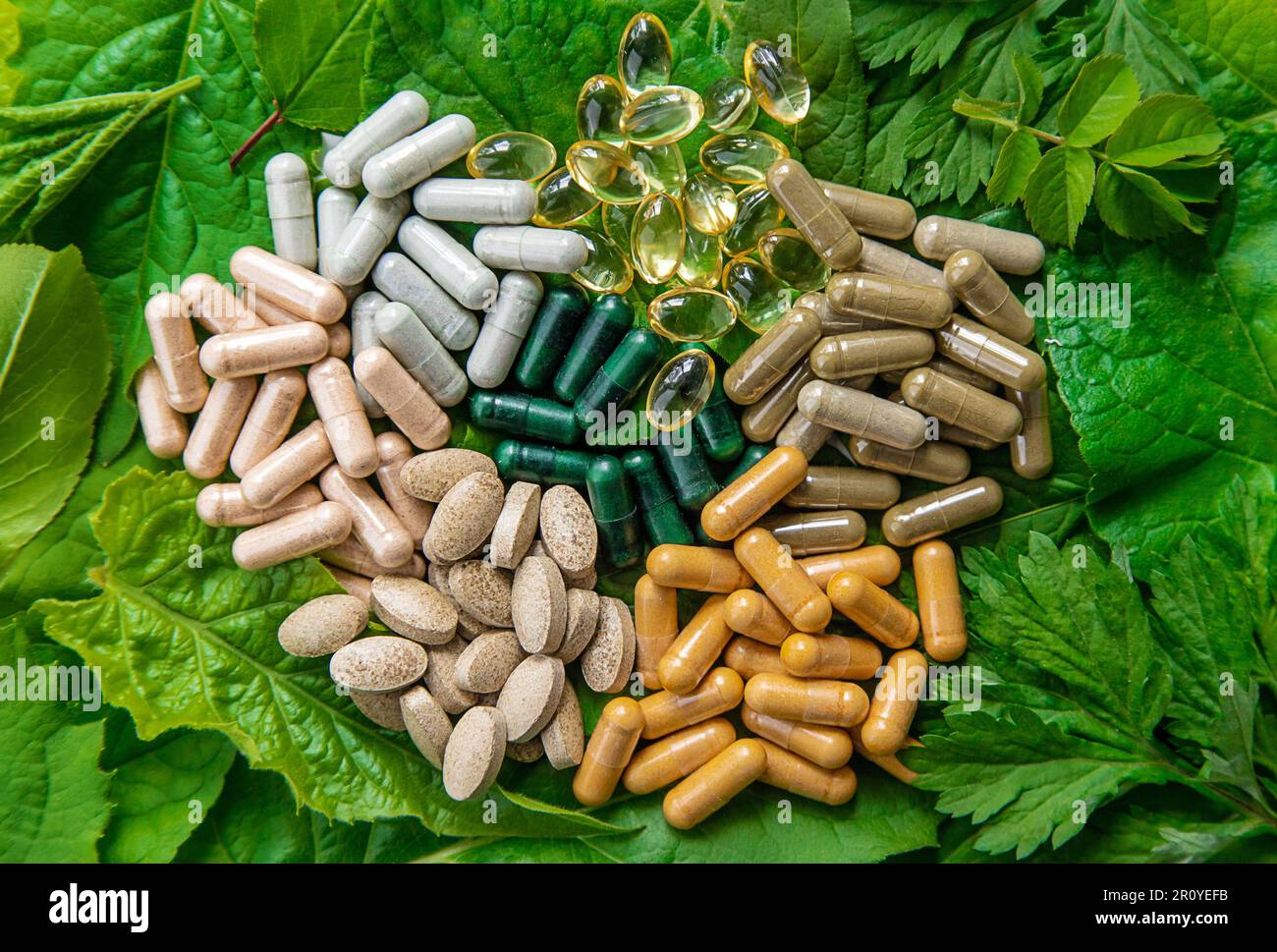 Capsules herb supplements on green leaves background. Selective focus ...