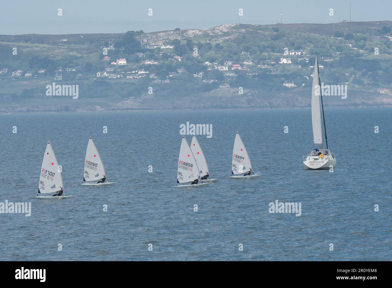 A group of sailboats in various stages of a regatta race, billowing in ...