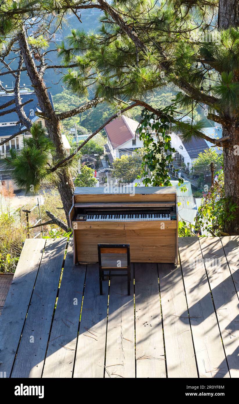 Piano under a pine tree in under sun beams in the city of Da Lat in ...